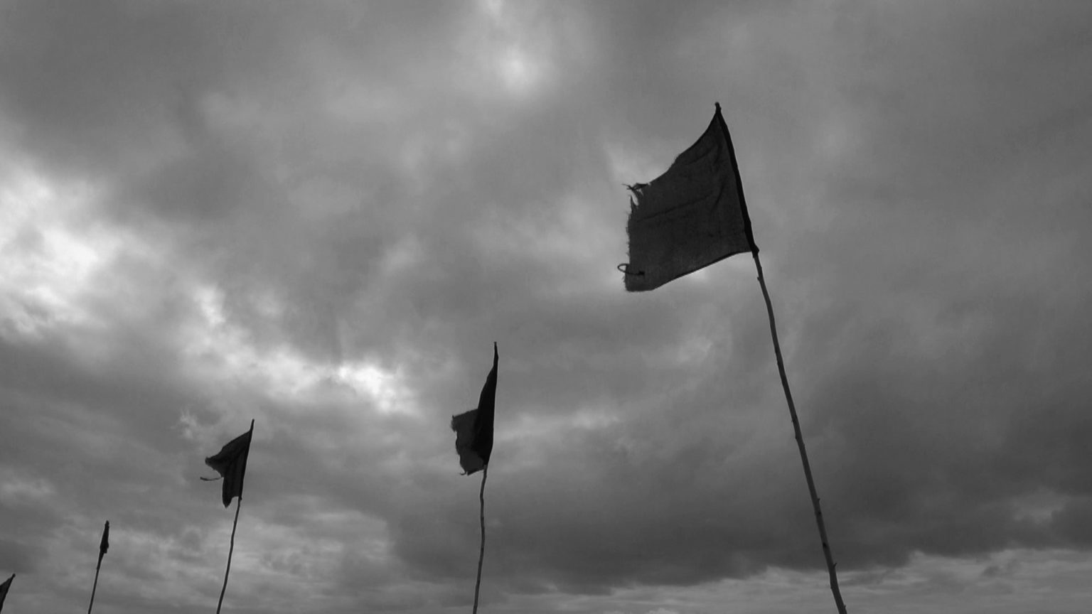 Meet Stephen Little, Head of Painting - National Art School