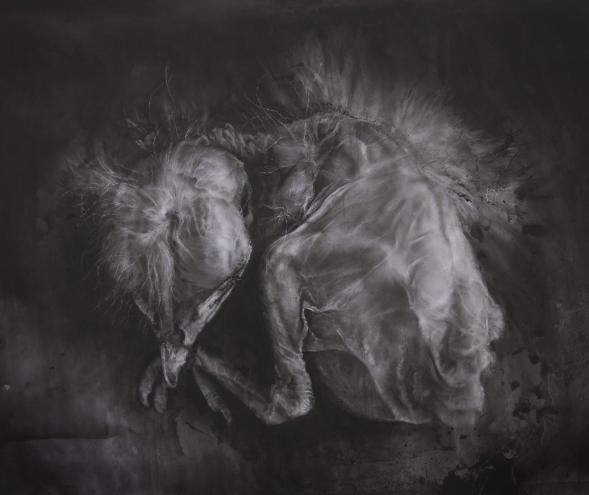 24th Dobell Drawing Prize - National Art School