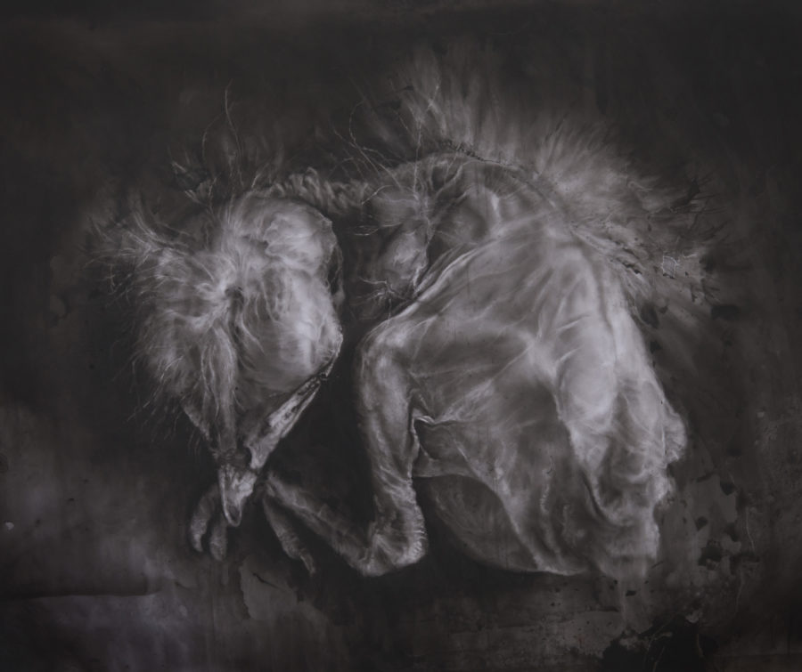 24th Dobell Drawing Prize - National Art School