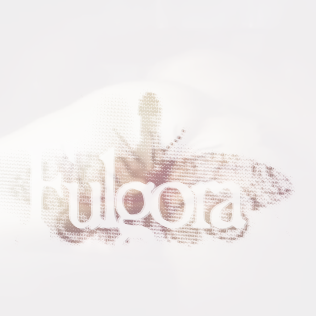 Fulgora curated by EO Gill - National Art School