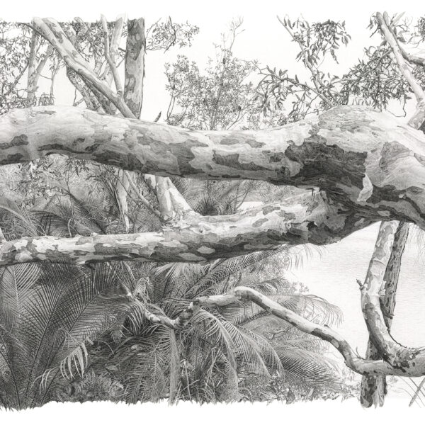 National Art School | NAS